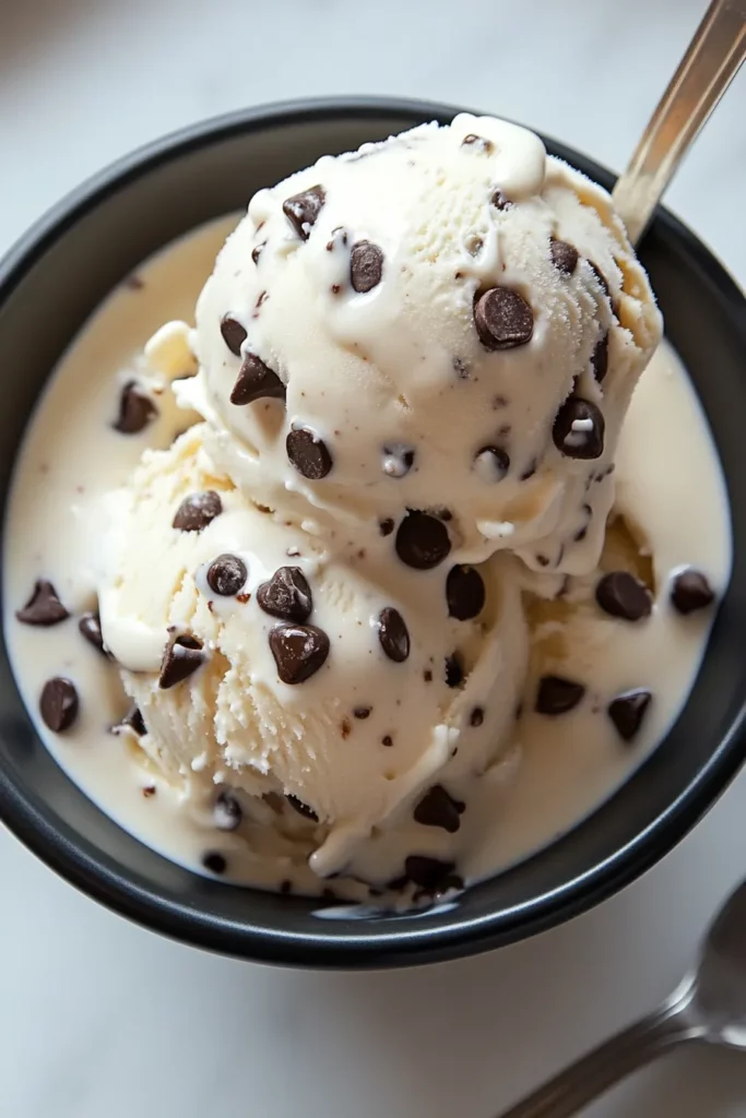 Chocolate Chip Ice Cream – Andrew Taste